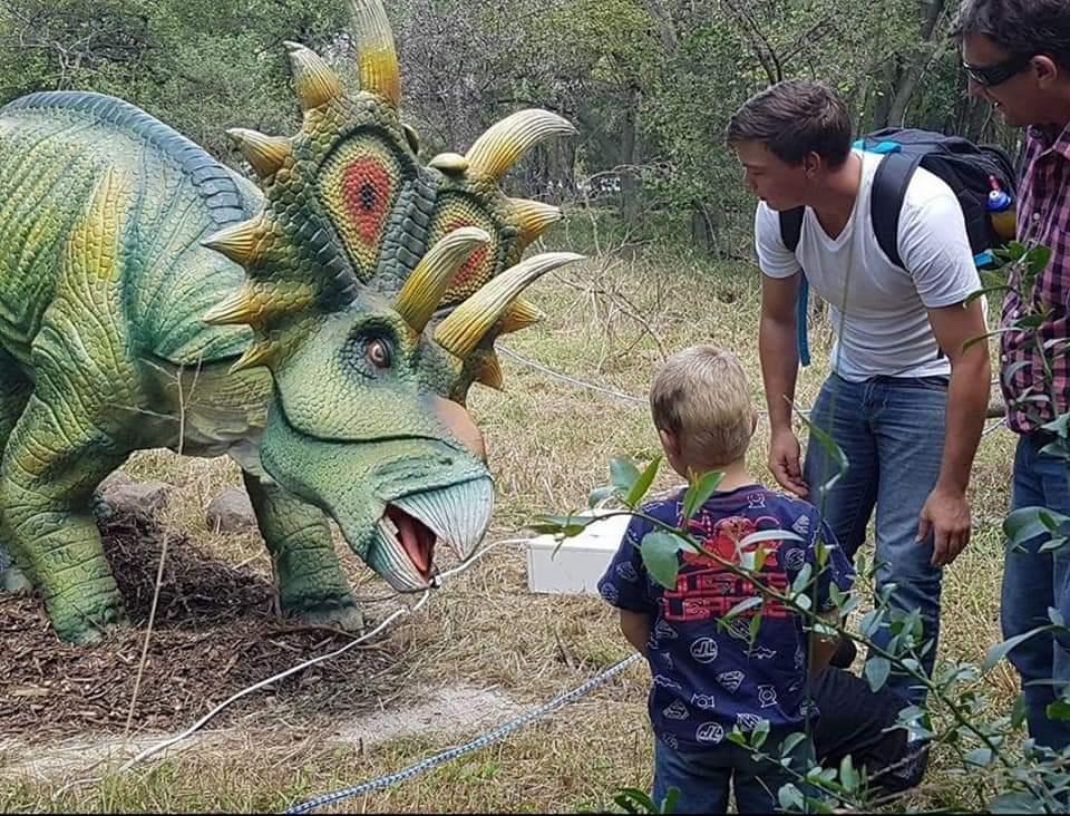 Don’t Miss Dino Festival Brisbane This November - Hampton Court Apartments